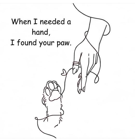 When I Needed A Hand I Found Your Paw Pictures, Photos, and Images for ...