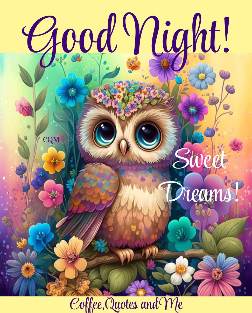 Good Night Owl Pictures, Photos, and Images for Facebook, Tumblr, Pinterest, and Twitter
