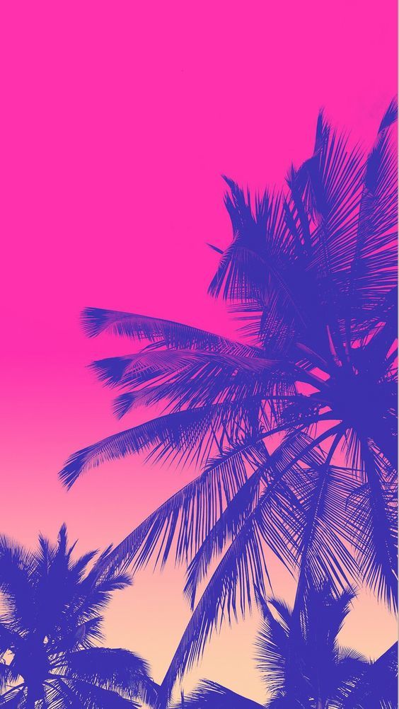 Pink Art Palms Pictures, Photos, and Images for Facebook, Tumblr ...