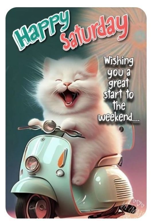 Wild Cute Cat Happy Saturday Pictures, Photos, and Images for Facebook ...