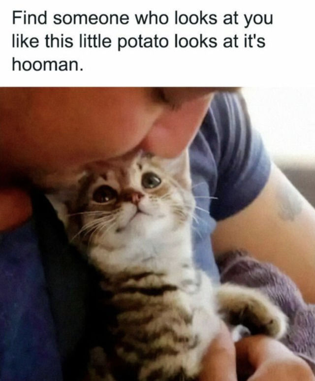 Find Someone Who Looks At You Like This Pictures, Photos, and Images ...