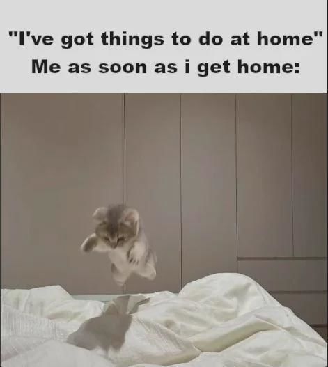 Me As Soon As I Get Home Pictures, Photos, and Images for Facebook ...