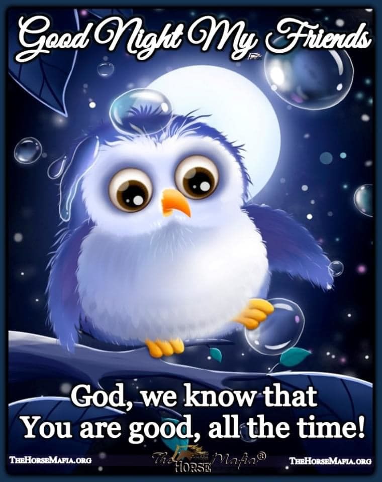 Good Night My Friends Pictures, Photos, and Images for Facebook, Tumblr ...