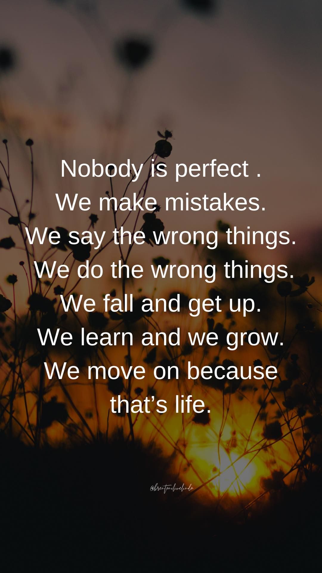 Nobody Is Perfect. We Make Mistakes. We Learn And We Grow. We Move On ...