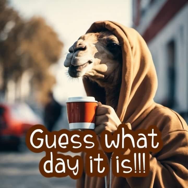 Camel - Guess What Day It Is Pictures, Photos, and Images for Facebook ...