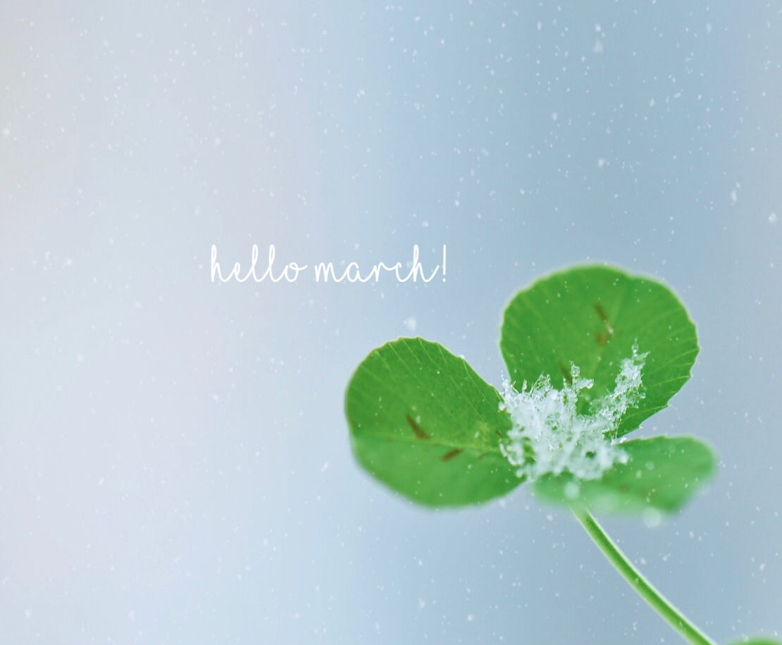 Icey Shamrock Hello March Image Quote Pictures, Photos, and Images for ...