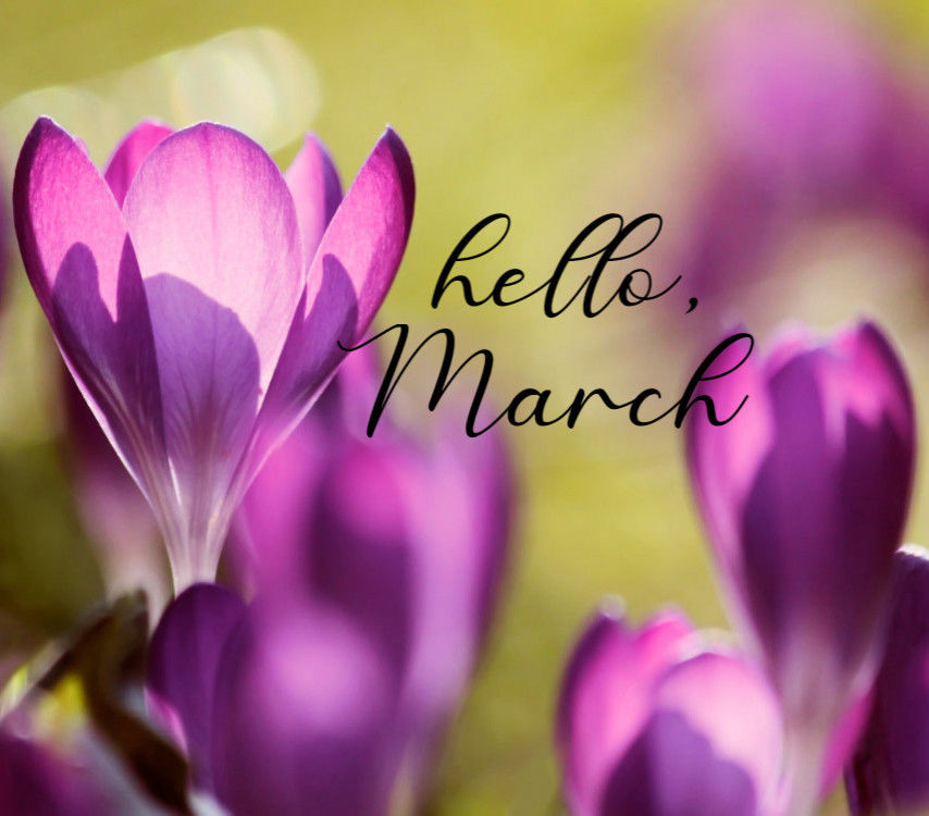 Purple Flowers Hello March Spring Image Pictures, Photos, and Images ...