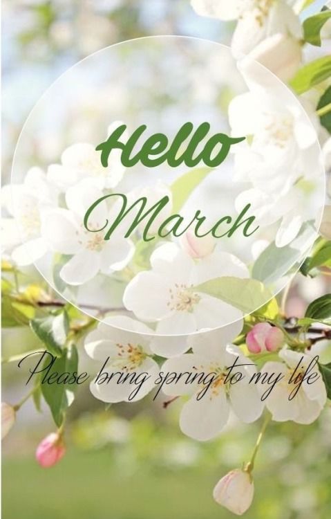 Hello March Please Bring Spring Into My Life Pictures, Photos, and ...
