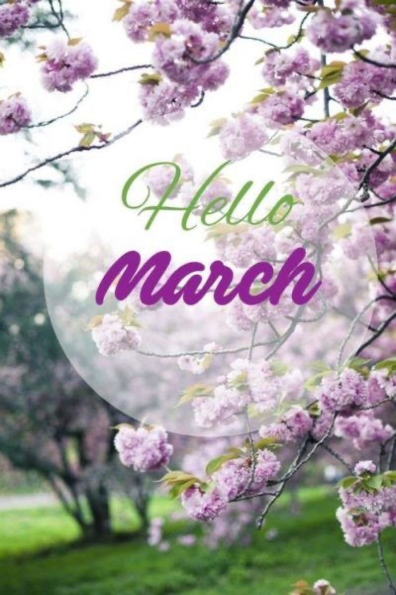 Hello March With Flowers Pictures, Photos, and Images for Facebook ...