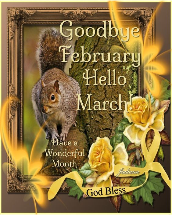 Have A Wonderful Month: Goodbye February... Hello March Pictures ...