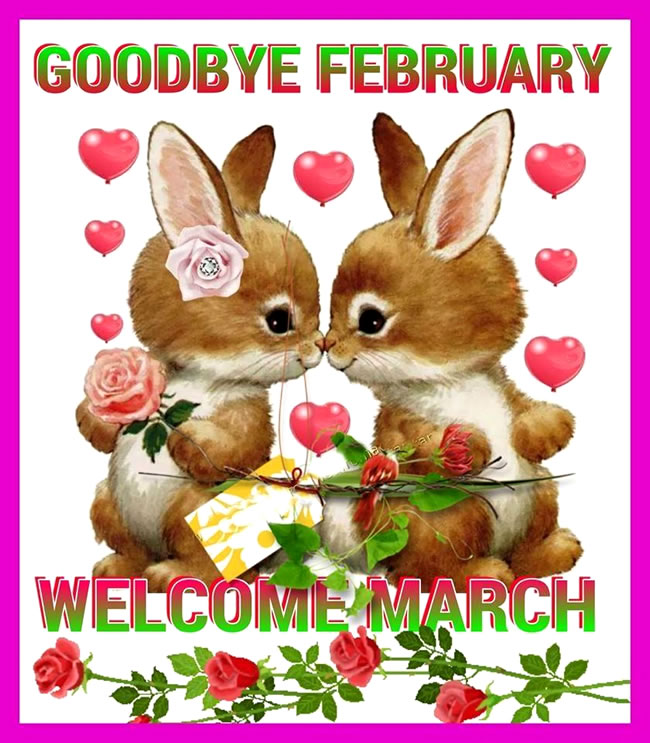 Love Bunnies - Goodbye February, Hello March Pictures, Photos, and ...