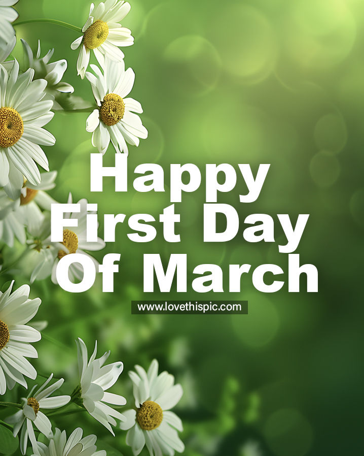 Daisy Flower - Happy First Day Of March Pictures, Photos, and Images ...