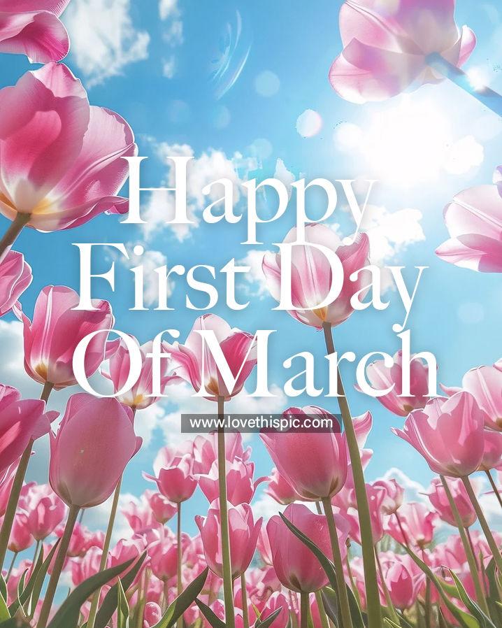 Pink Tulips - Happy First Day Of March Pictures, Photos, and Images for ...