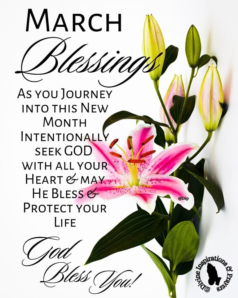 March Blessings Seek God Through The Month Pictures, Photos, and Images ...