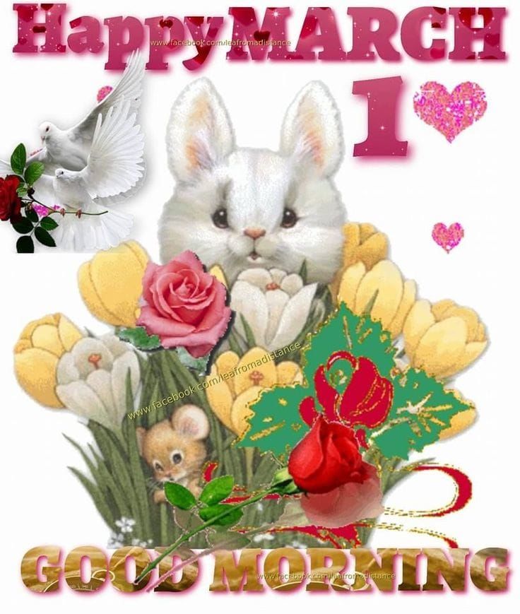 Happy March 1 Good Morning Pictures, Photos, and Images for Facebook ...