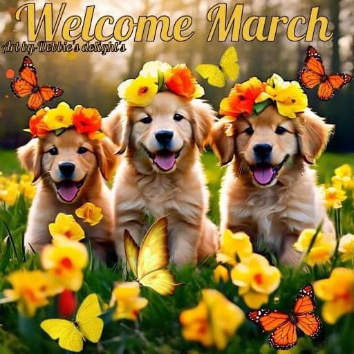 Welcome March Butterflies And Dogs Pictures, Photos, and Images for ...