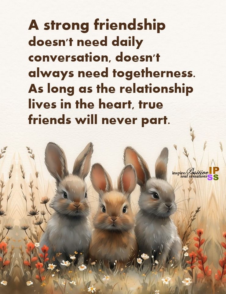 A Strong Friendship Doesn't Need Daily Conversation, Doesn't Always ...