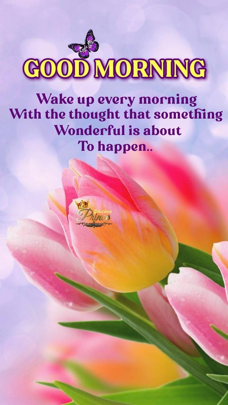 Good Morning Wake Up Every Morning Thinking Something Wonderful Is ...