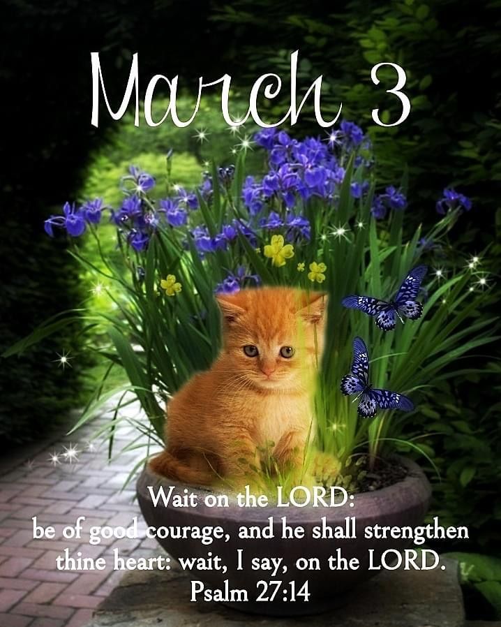 March 3 Psalm 27:14 Pictures, Photos, and Images for Facebook, Tumblr ...