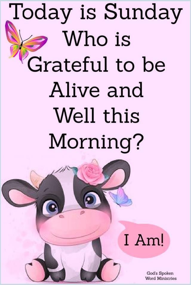 Today Is Sunday Who Is Grateful To Be Alive? Pictures, Photos, and ...