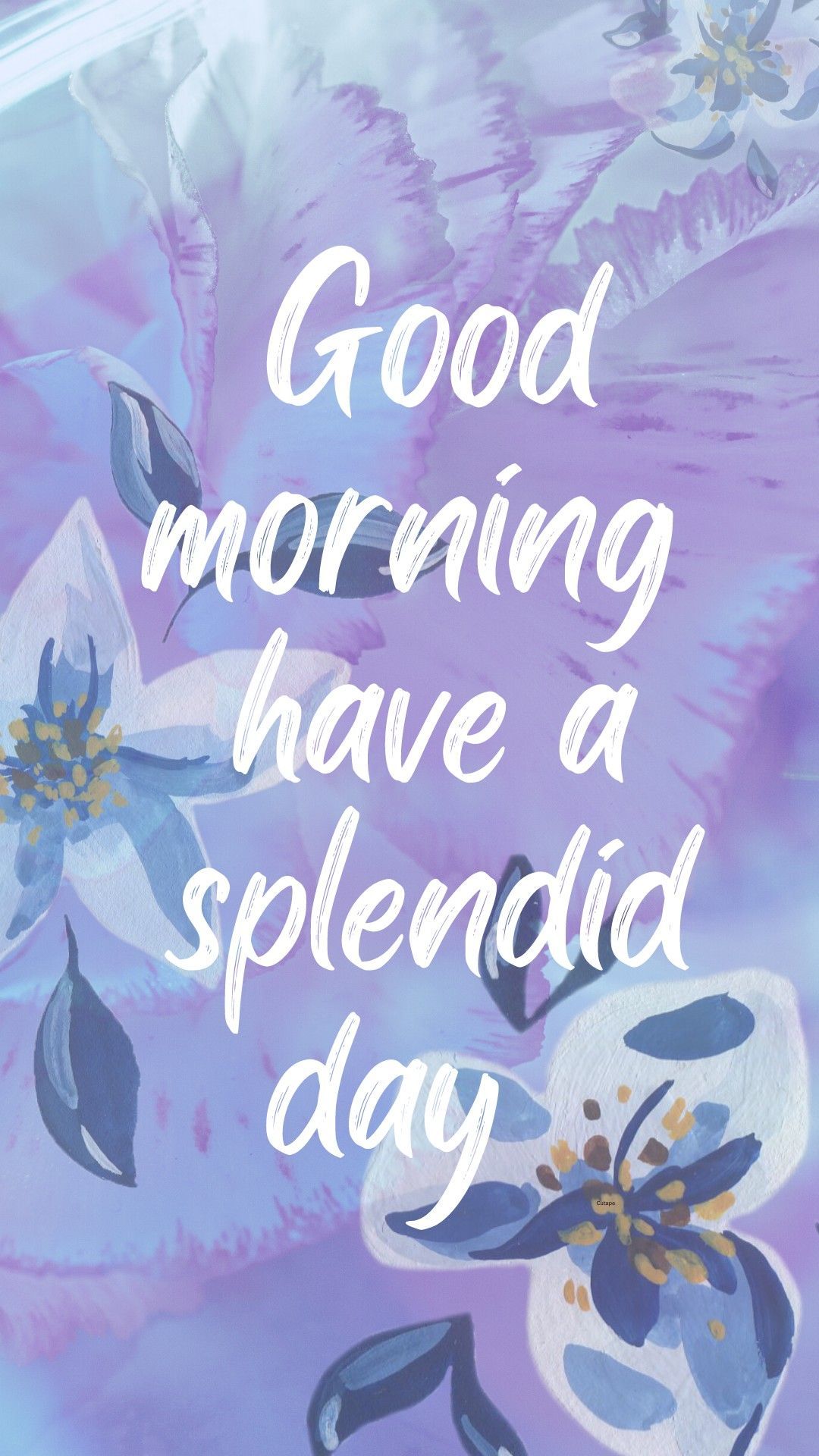 Good Morning Have A Splendid Day Pictures, Photos, and Images for ...