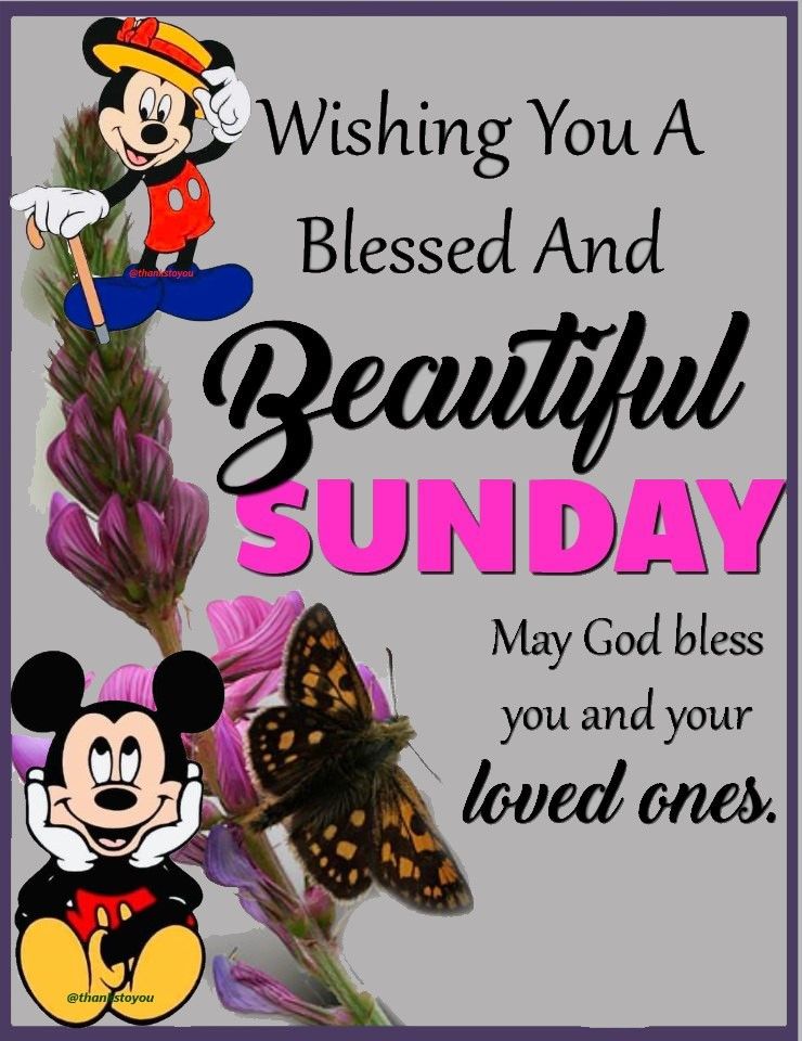 Wishing You A Blessed And Beautiful Sunday May God Bless Your Loved ...
