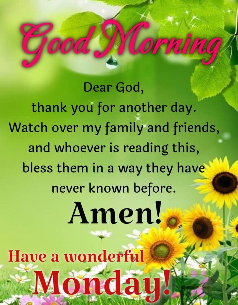 Have A Wonderful Monday Morning Pictures, Photos, and Images for ...