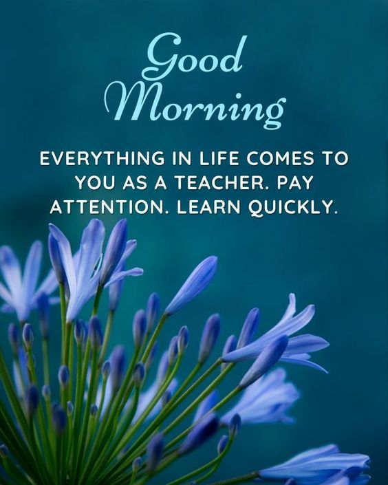 Good Morning Life Is A Lesson Pictures, Photos, and Images for Facebook ...