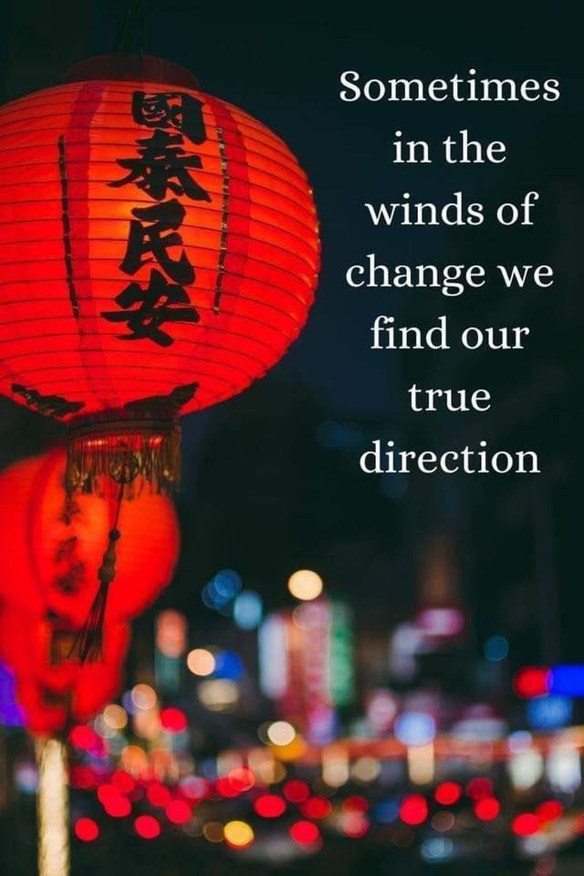 Sometimes In The Wind We Find Our True Direction Pictures, Photos, and ...