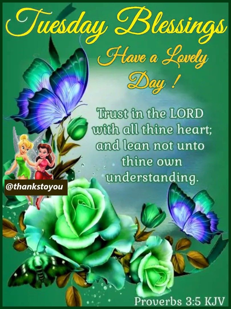 Tuesday Blessing: Have A Lovely Day Pictures, Photos, and Images for ...