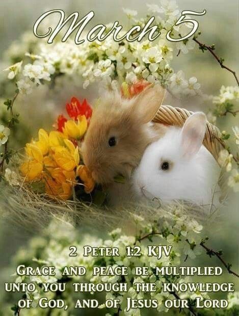 March 5th Grace And Peace Bible Verse Pictures, Photos, and Images for ...