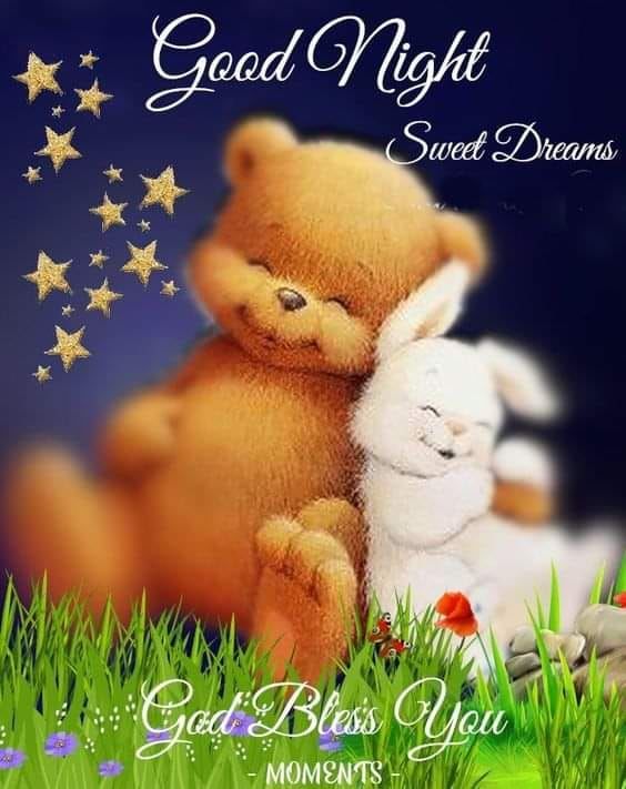 Good Night Bear And Bunny Pictures, Photos, and Images for Facebook ...