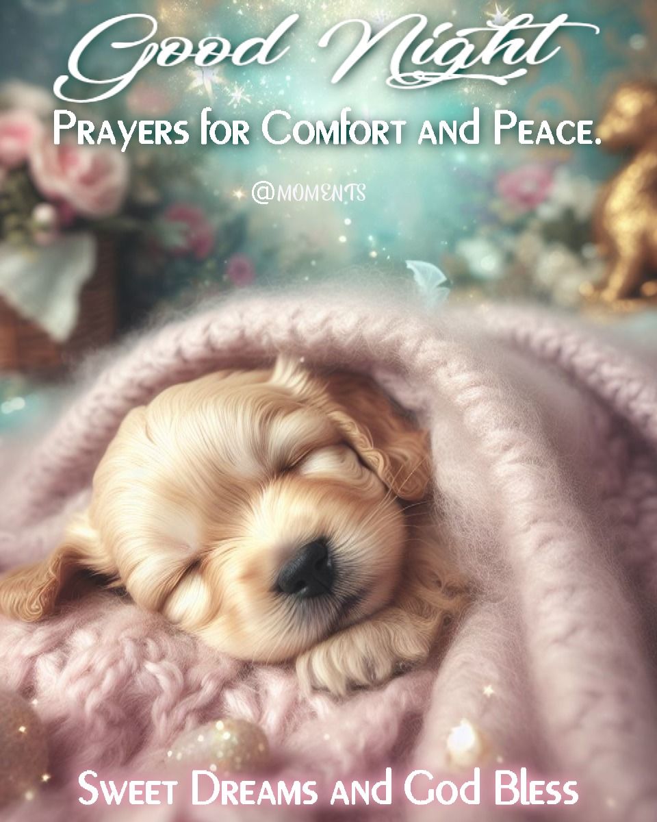 Good Night Prayers For Comfort And Peace Pictures, Photos, and Images ...
