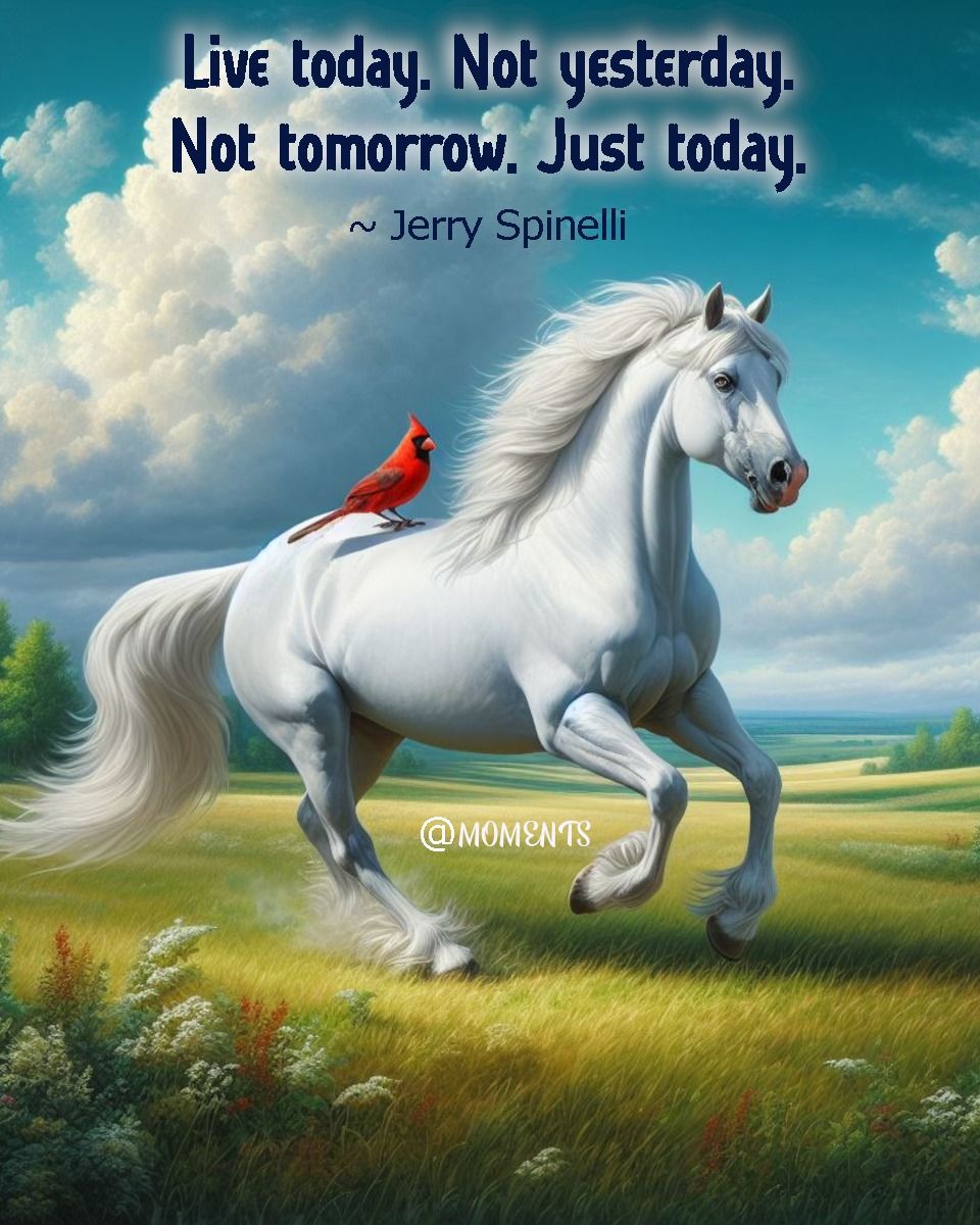 Live Today. Not Yesterday. Not Tomorrow. Just Today. Pictures, Photos ...