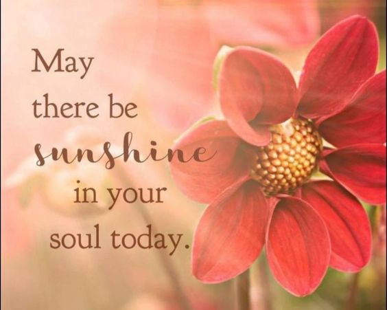 May There Be Sunshine In Your Soul Today Pictures, Photos, and Images ...