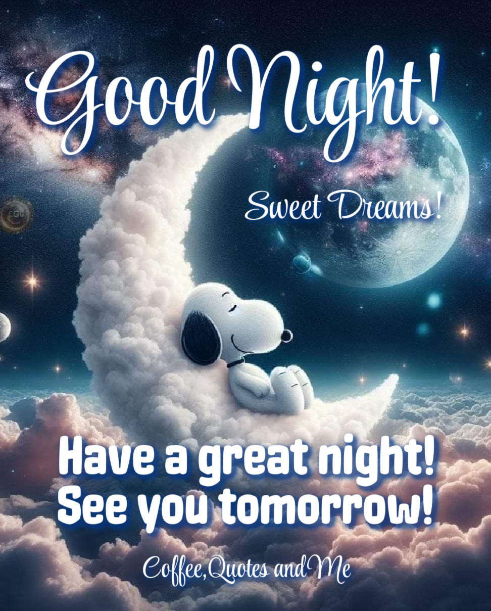 Resting Snoopy Good Night Message Pictures, Photos, and Images for ...