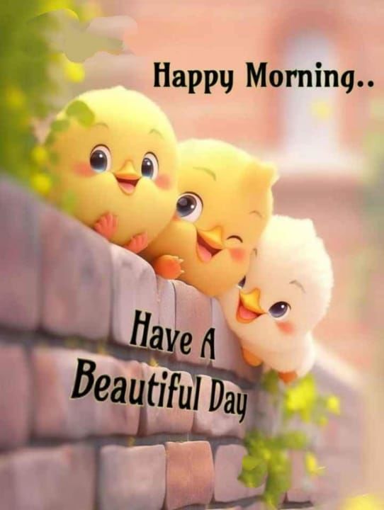 Happy Morning Pictures, Photos, and Images for Facebook, Tumblr ...