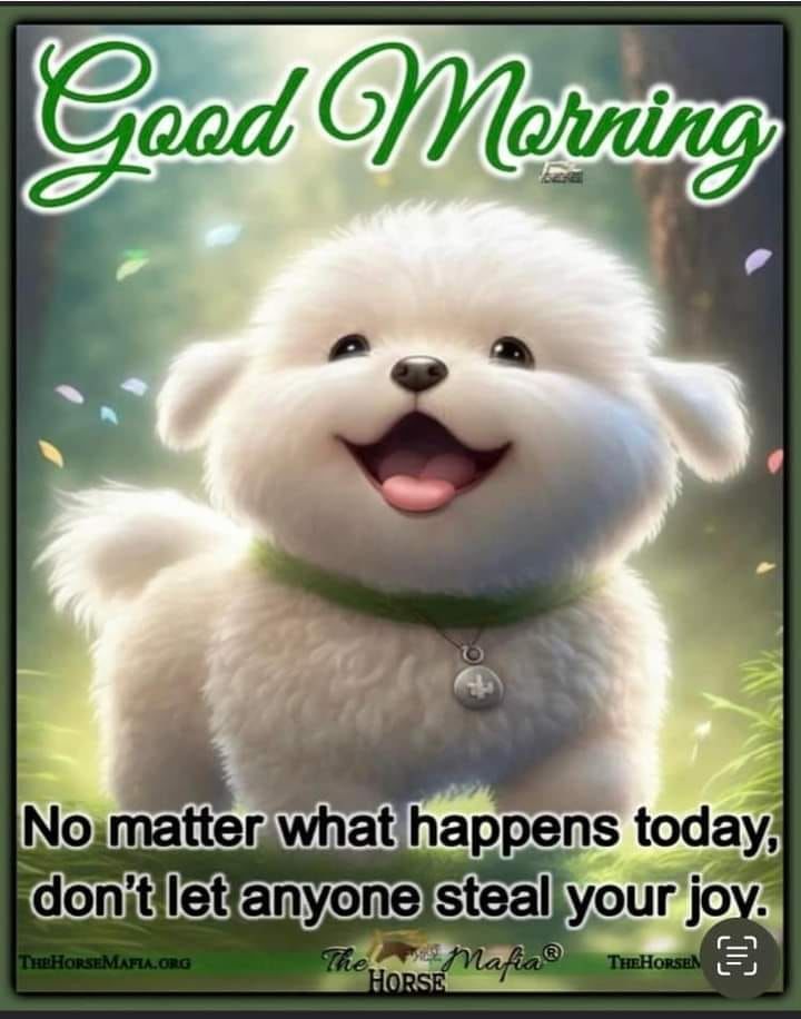 No Matter What Happens Today, Don't Let Anyone Steal Your Joy. Good ...