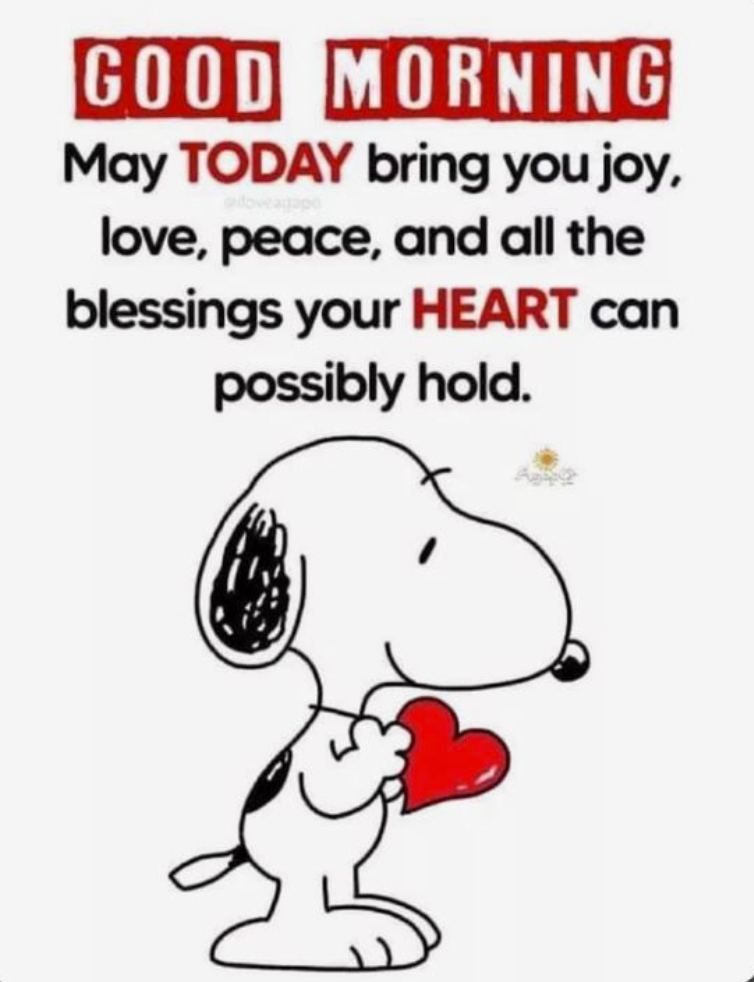 Good Morning May Today Bring You Joy Love And Peace Pictures, Photos ...