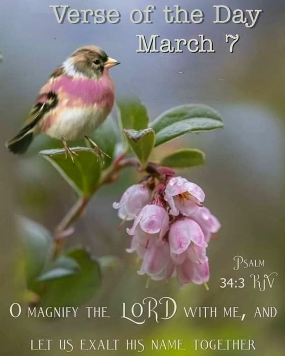 Verse Of The Day For March 7 Pictures, Photos, and Images for Facebook ...