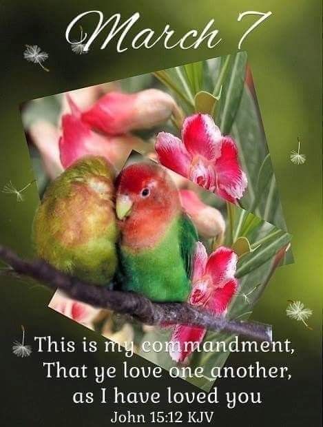 March 7 Bible Verse Pictures, Photos, and Images for Facebook, Tumblr ...