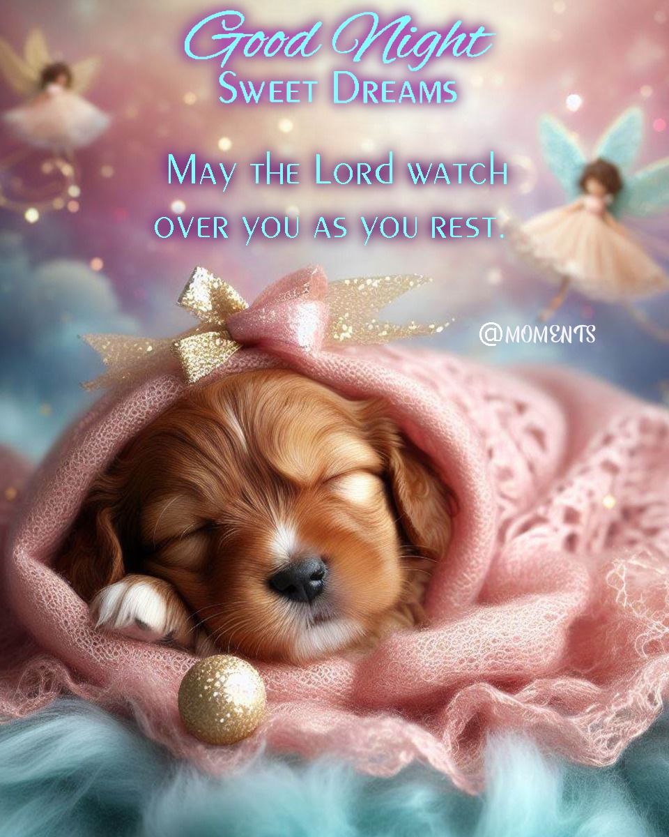 Good Night Sweet Dreams With Sleeping Puppy Pictures, Photos, and ...