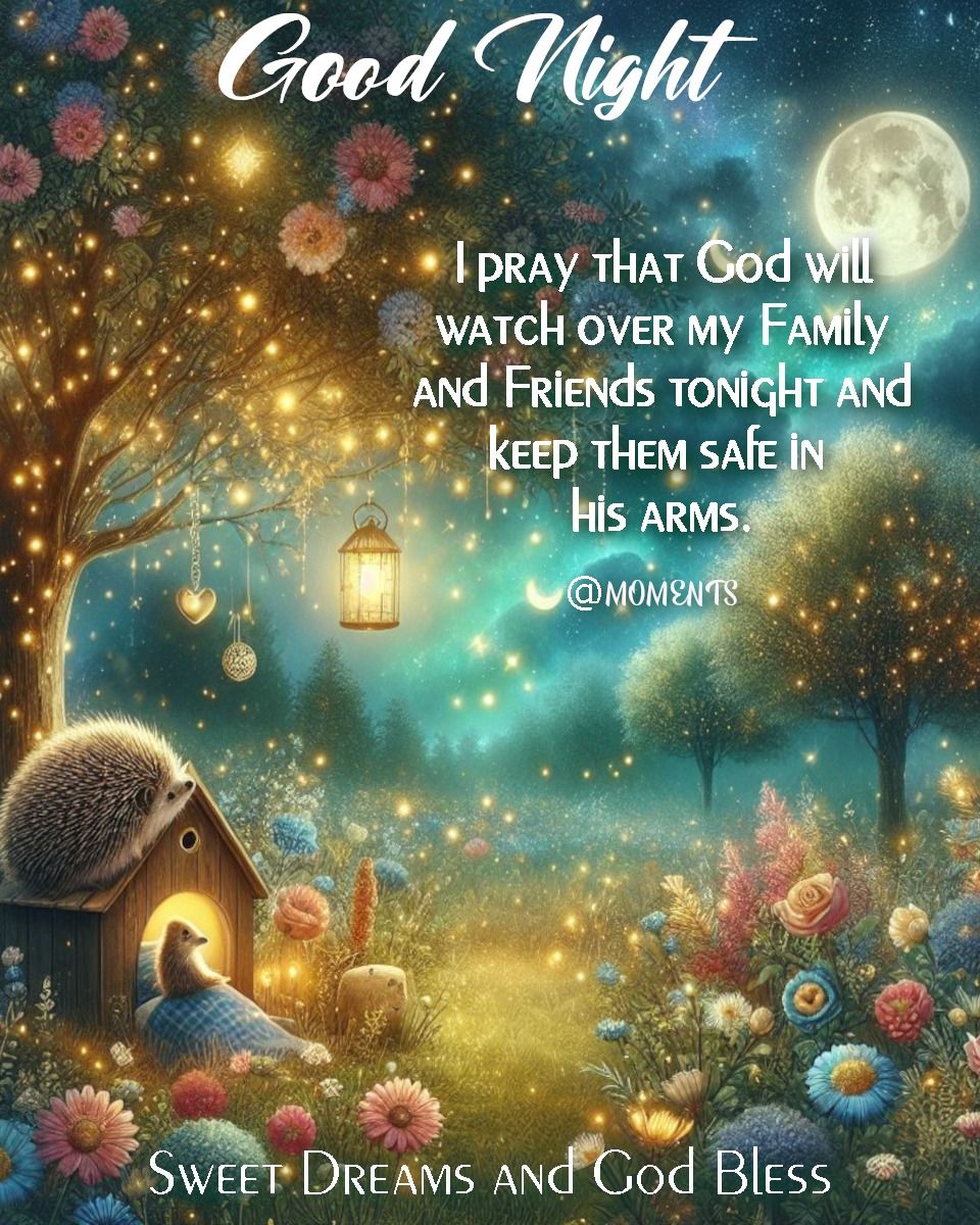 Magical Good Night Wish Pictures, Photos, and Images for Facebook ...