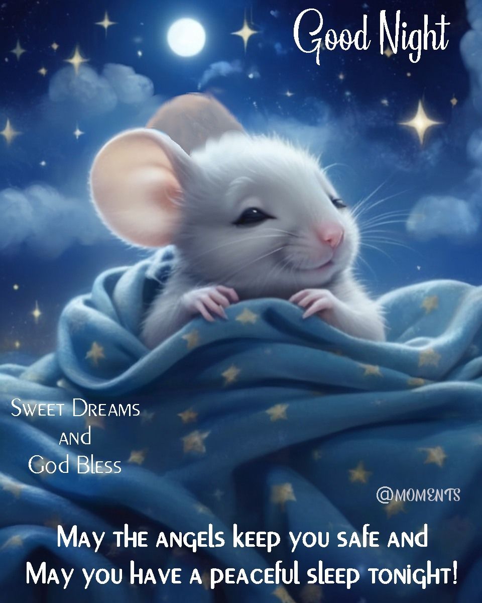 Good Night Sleeping Mouse Greeting Pictures, Photos, and Images for ...
