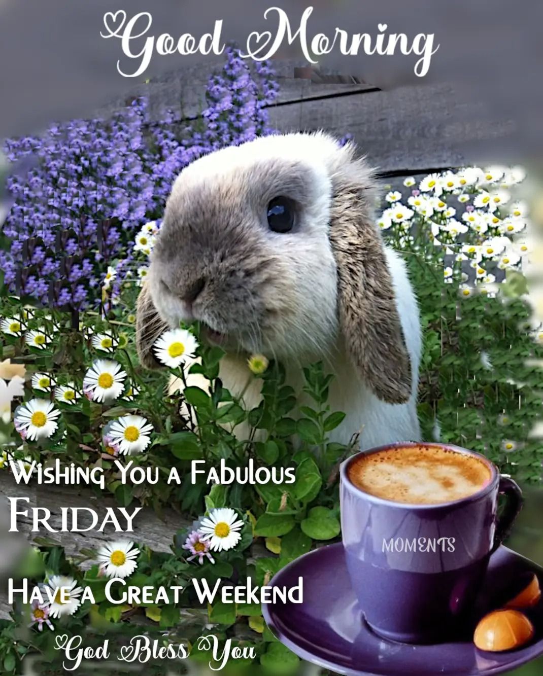 Wishing You A Fabulous Friday, Good Morning Pictures, Photos, and ...