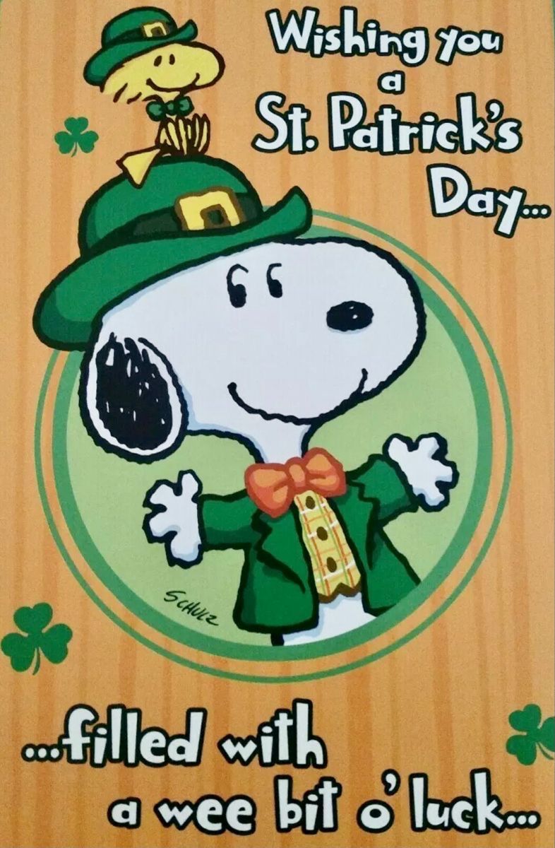 Wishing You A St. Patrick's Day Filled With A Wee Bit O' Luck Pictures ...