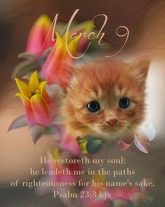 March 9 Psalm 23:3 Bible Verse Pictures, Photos, and Images for ...