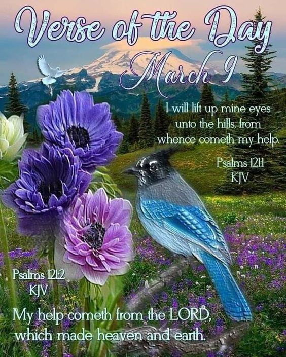 Verse Of The Day March 9th Pictures, Photos, and Images for Facebook ...