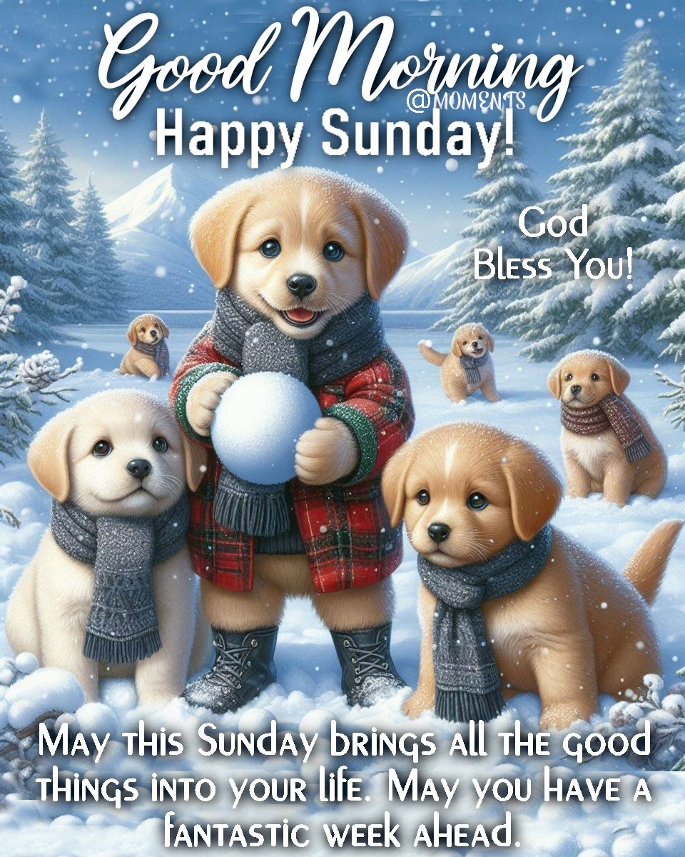 Doggies In Snow - Good Morning Sunday - May This Sunday Brings All The ...