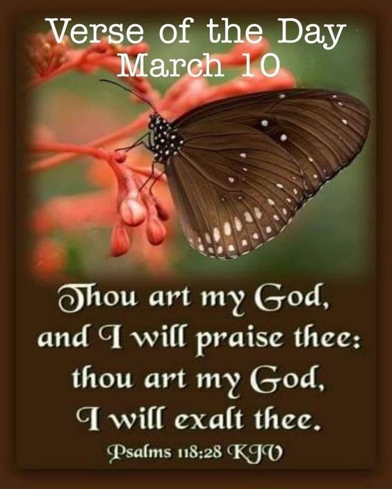 Verse Of The Day For March 10 Pictures, Photos, and Images for Facebook ...
